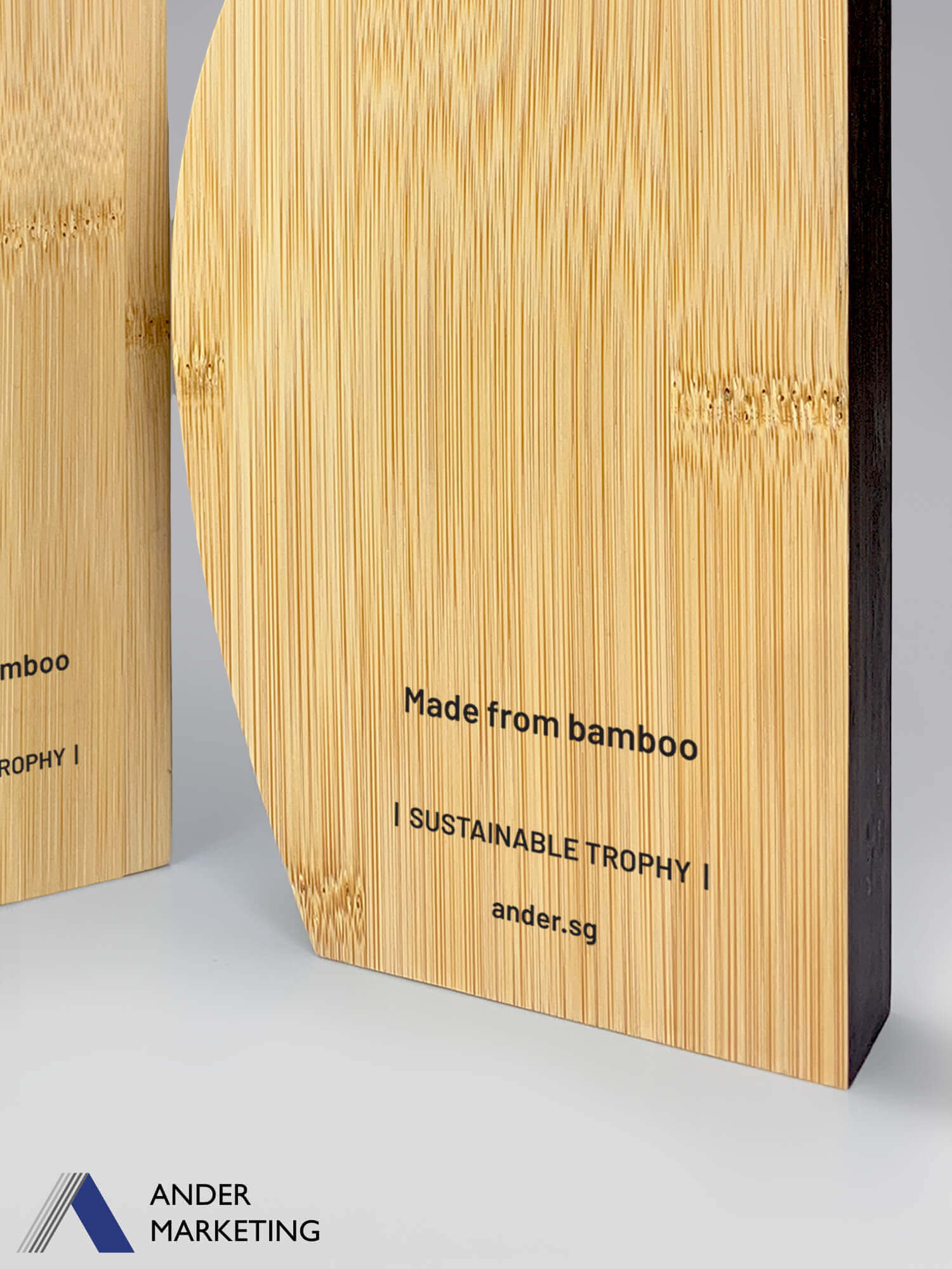 MW-65 Modern Trophy Award | Ander Marketing Singapore