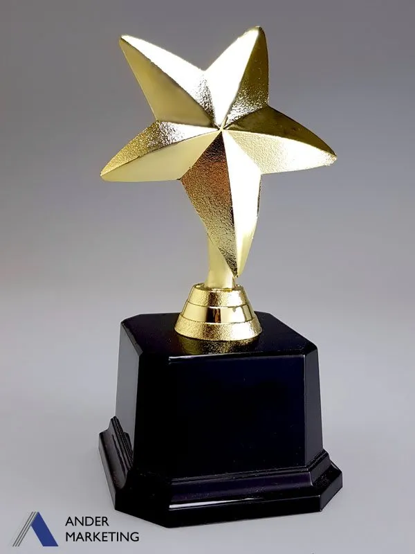 RS-06P Star Trophy Awards | Ander Marketing Singapore