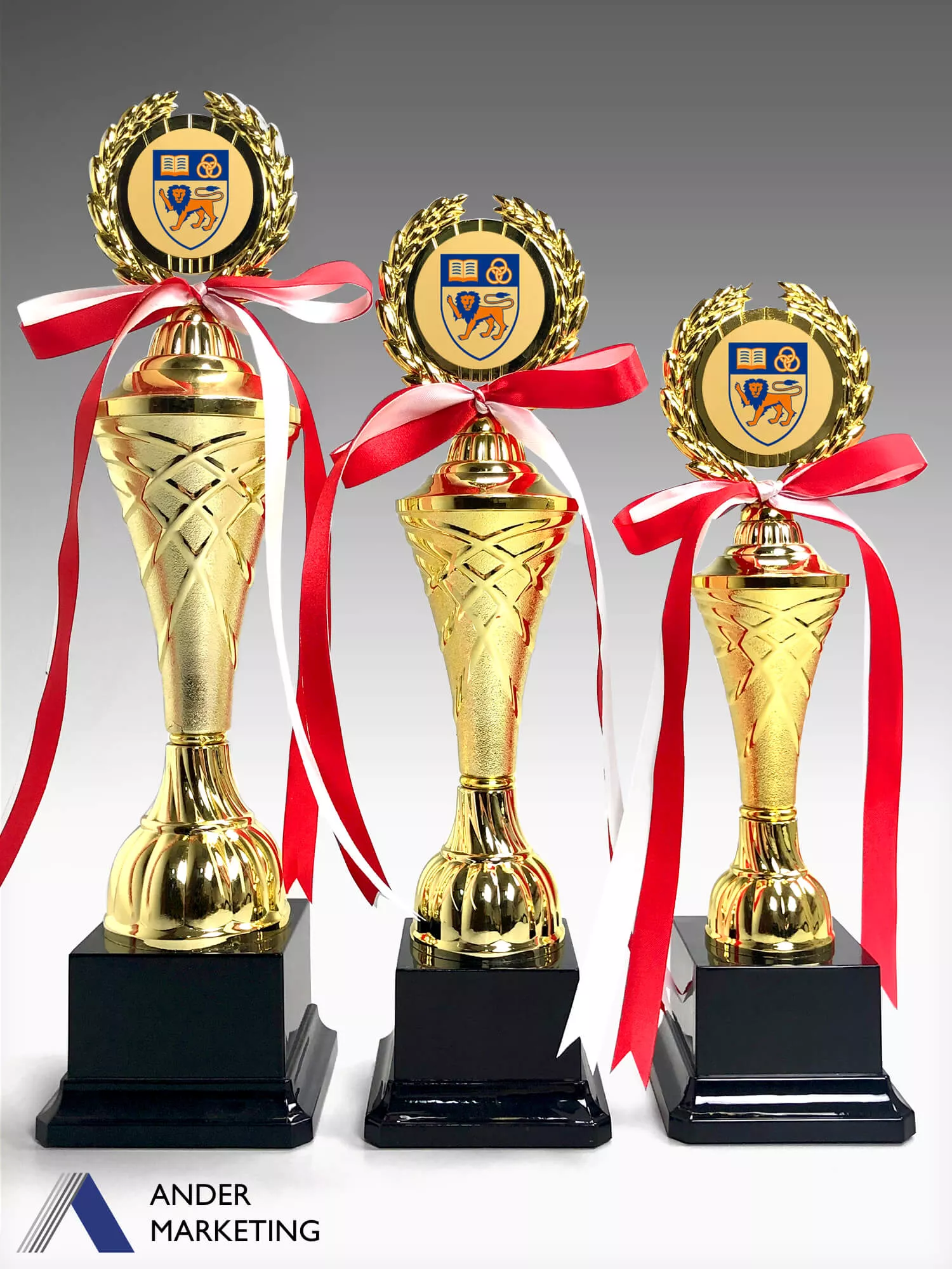 TC-04P Trophy Award | Ander Marketing Singapore