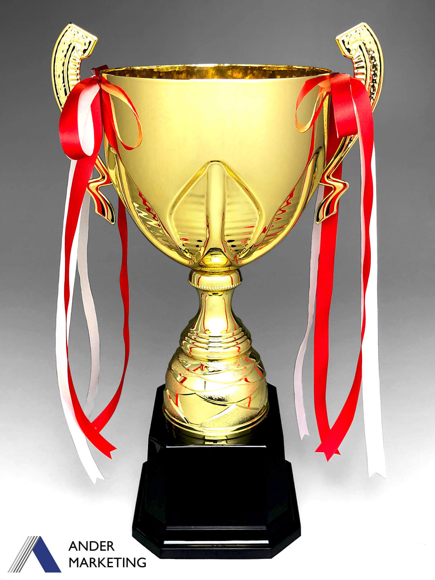 Trophy Cups & Medals | Ander Marketing Singapore | All pricing (Page 1/1)